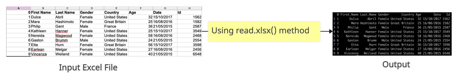 How to Use read.xlsx() Function in R