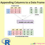 Adding Single or Multiple Columns to Data Frame in R