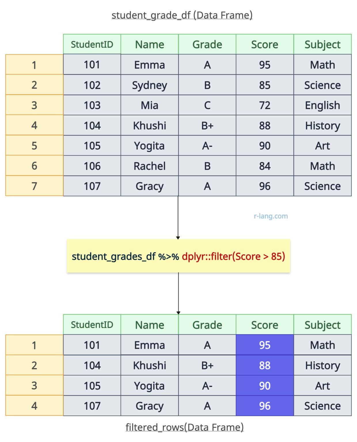 R Dplyrfilter Function Complete Guide