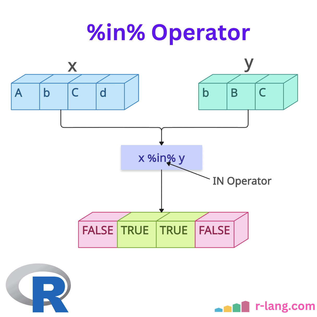 Detailed Guide on %in% Operator in R